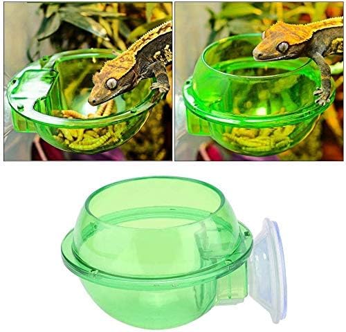 Willlly Reptile Feeder Suction Cup Anti Escape Reptile Chic Feeding ...