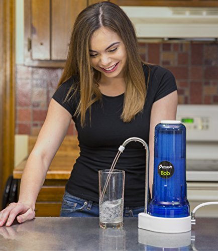 Ecosoft 6th Stage Add-On Coconut Carbon Water Filter System for ...