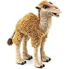 Amazon.com: Folkmanis Camel Hand Puppet: Toys & Games