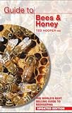 The Urban Beekeeper: A Year of Bees in the City: Amazon.co.uk: Steve ...