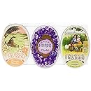 Amazon.com : Anis De Flavigny - Orange, Anise and Violet Flavored ...