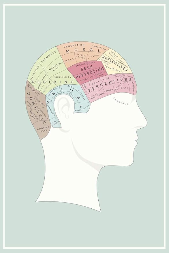 Phrenology Brain Region Mapping Head Chart Educational Medical Cool ...