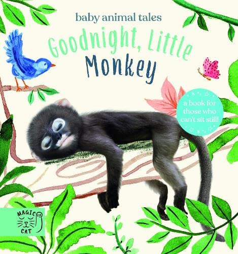 Goodnight, Little Monkey: 9781913520496: Amazon.com: Books