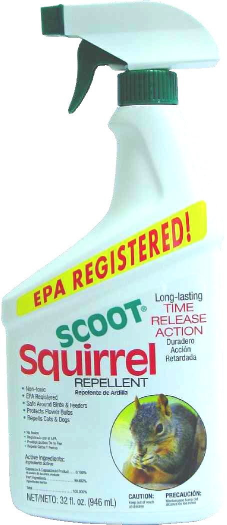 Scoot Products Squirrel Repellent Quart, Nontoxic, Food Grade, Protects ...