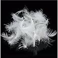 Amazon.com: ROSE FEATHER Bulk Goose Down Feather Stuffing & Fill ...