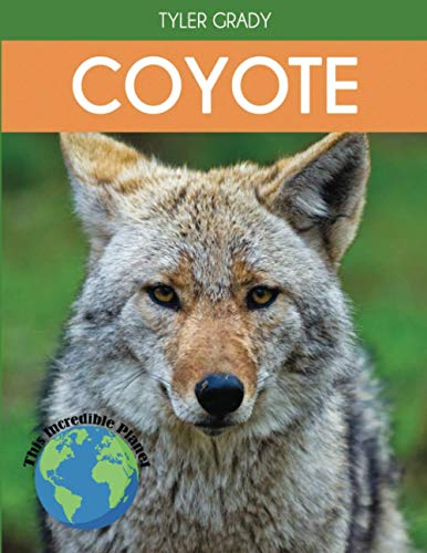 Coyote: Fascinating Animal Facts for Kids: Grady, Tyler: 9781647900816 ...