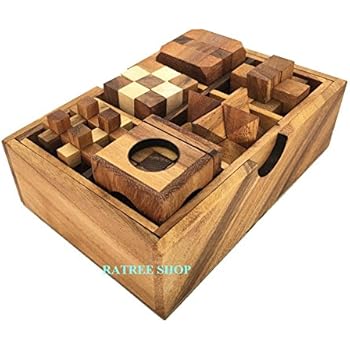 Amazon.com: 6 Wooden Puzzle Gift Set In A Wood Box - 3D Puzzles for ...