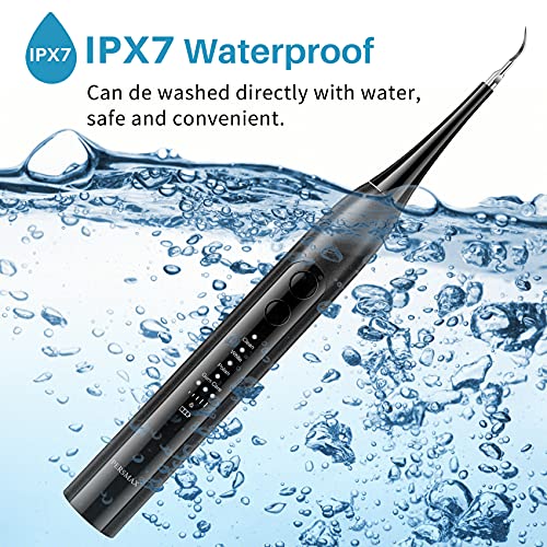 Plaque Remover for Teeth, PERSMAX Sonic Electric Tooth Cleaner, Dental ...