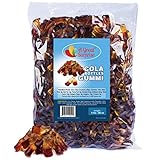 Giant Gummy Cola Bottle