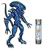 Alien Collection Special Edition Xenomorph Warrior Fully Poseable