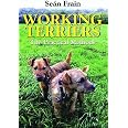 American Working Terriers: Burns, Patrick: 9781411660823: Amazon.com: Books