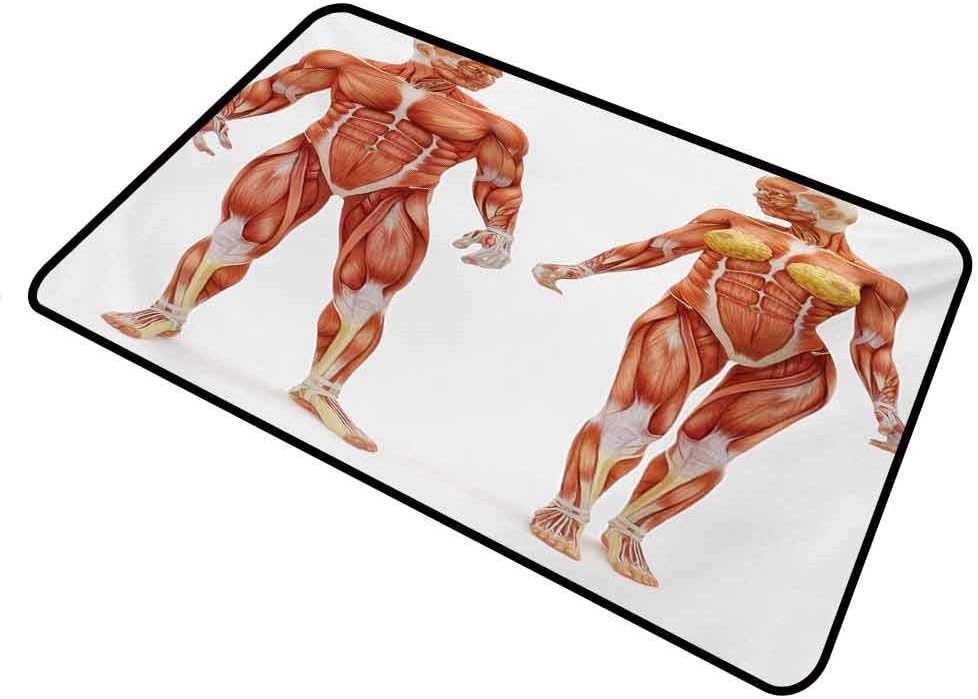Amazon Shirlyhome Doormat Cute Human Anatomy For Front Door Male Amazon Shirlyhome Doormat Cute Human Anatomy For Front Door Male