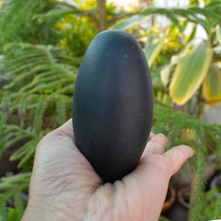 Mua Black Shiva Lingam Black 3" inch Approx - Original Narmada River ...