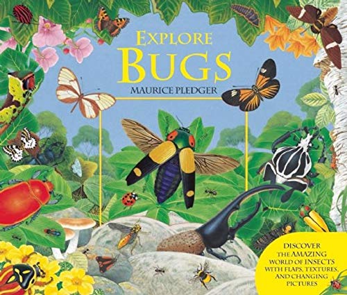 Explore: Bugs: Pledger, Maurice: 9781607101536: Books - Amazon.ca