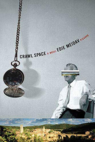 Crawl Space: A Novel: Meidav, Edie: 9780312425753: Amazon.com: Books