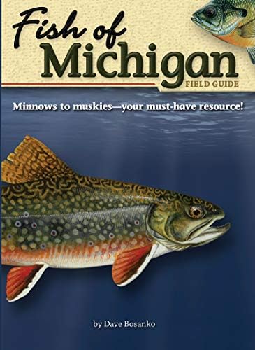 Fish of Michigan Field Guide (Fish Identification Guides) | Pricepulse