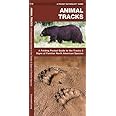 Animal Tracks: A Folding Pocket Guide to the Tracks & Signs of Familiar ...