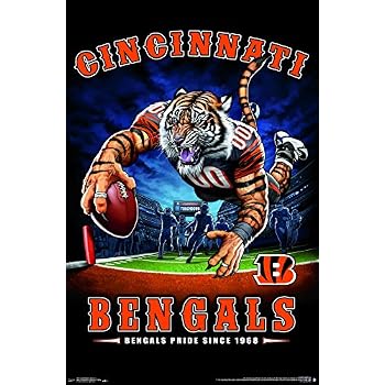 Amazon.com: Trends International Cincinnati Bengals - End Zone Premium ...