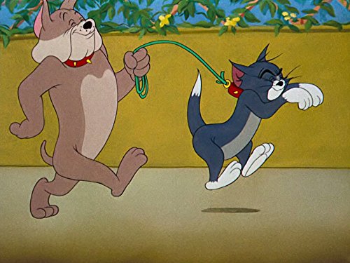 Watch Tom & Jerry Season 1 | Prime Video