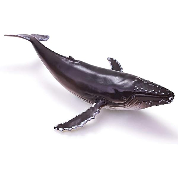 Papo Humpback Whale, 42% OFF | ids-deutschland.de