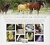 The Essential Hoof Book: The Complete Modern Guide to Horse Feet ...