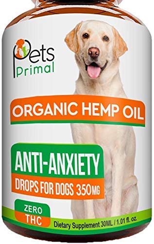 Best Hemp Oil for Dogs, Different to CBD Oil and Known Benefits