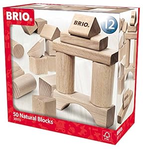 BRIO Infant & Toddler - 50pc Building Blocks - Natural: Amazon.co.uk ...