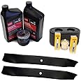Amazon.com : Toro Genuine OEM Maintenance Kit W/ 137-1999-03 Blades for ...