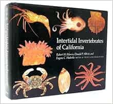 Intertidal Invertebrates of California: Robert Harding Morris, Donald P ...