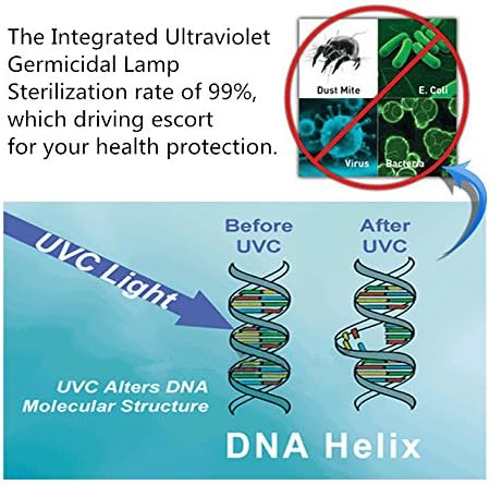 UV-C Large Sterilization Anti-Bacterial The Integrated Ultraviolet ...