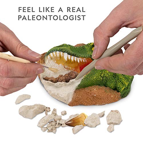 NATIONAL GEOGRAPHIC Dino Fossil Dig Kit – Excavate 3 real fossils ...