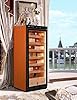 Cigar Humidor Cabinet, Raching 330L Climate Control Cabinet for Storing ...