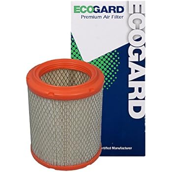 Amazon.com: ACDelco A3619C Professional Air Filter: Automotive