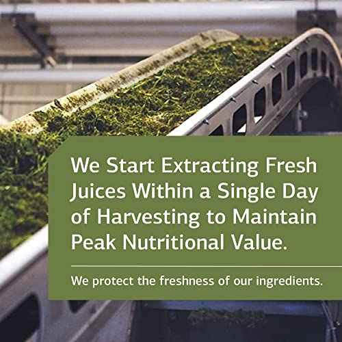 Standard Process Cholacol - Fat Digestion Enzymes and Gallbladder ...