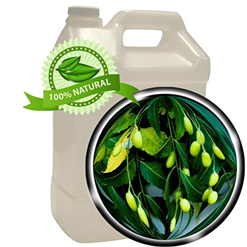 Buy Neem Oil- 1 gallon (128 oz) - Cold-pressed, Virgin - antibacterial ...