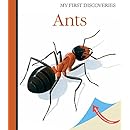 Ants (My First Discoveries): Rene Mettler: 9781851034321: Amazon.com: Books