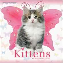 Keith Kimberlin Kittens - Wings 2012 Wall Calendar: DateWorks ...