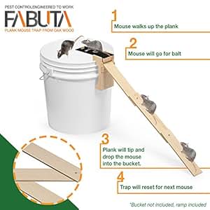 Amazon.com : FABUTA Plank Mouse Trap from Oak Wood - RAMP INCLUDED ...