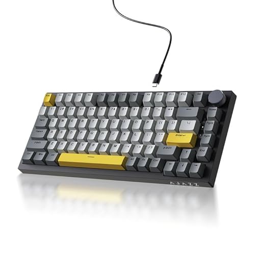 Ajazz AK820 75% Wired Gasket Mechanical Gaming Keyboard with Volume ...