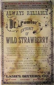 Amazon.com: Dr. Fowler's Wild Strawberry Extract Home Remedy Cure for ...