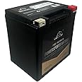 Amazon.com: BRP (Sea-Doo) GTX 4-Tec Battery, Also Fits RXP, GTX, GTI ...