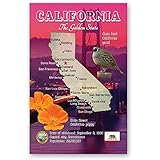 Amazon.com : CALIFORNIA STATE MAP postcard set of 20 identical ...