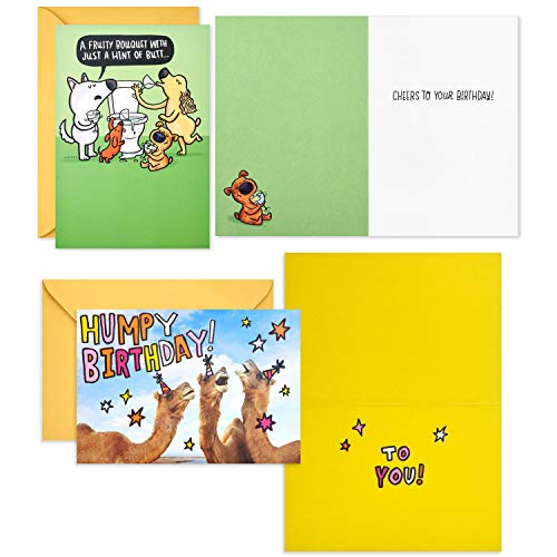 Hallmark Shoebox Funny Birthday Cards Assortment (8 Cards with ...