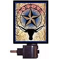 Texas Night Light, Texas Star and Longhorn, Destinations - Amazon.com