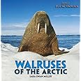 Walruses of the Arctic (Brrr! Polar Animals): Miller, Sara Swan ...