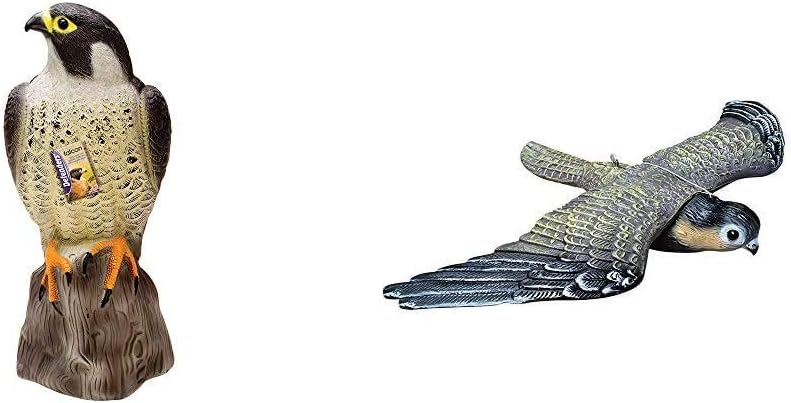 Defenders Falcon, Decoy Bird Scarer, Life-like Colouring & Swoop Flying ...