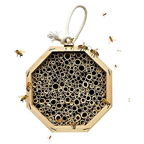 Mason Bees House Handmade Wooden Bees Nesting House Hanging Mason Bee ...