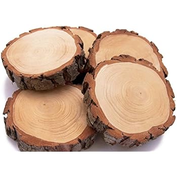 Amazon.com: Koyal Wholesale Birch Wedding Disc Rounds, Birch Slices ...