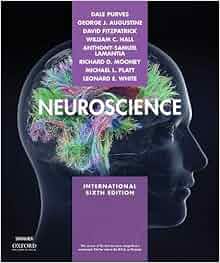 Neuroscience: 9781605358413: Medicine & Health Science Books @ Amazon.com