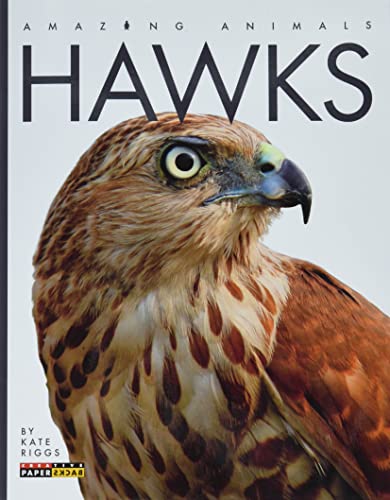 Hawks (Amazing Animals): Riggs, Kate: 9781682770641: Amazon.com: Books